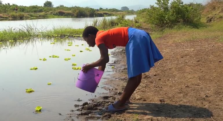 World News in Brief: Water ‘being taken for granted’, global teacher crisis, Nipah in India ...